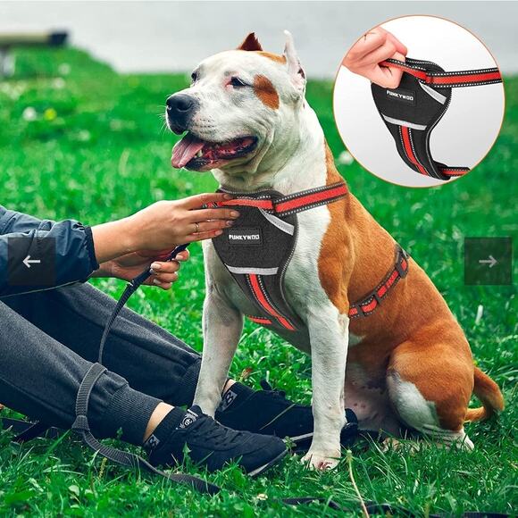 FUNKYWOO | Dog | No Pull Adjustable Reflective Small Dog Harness ...